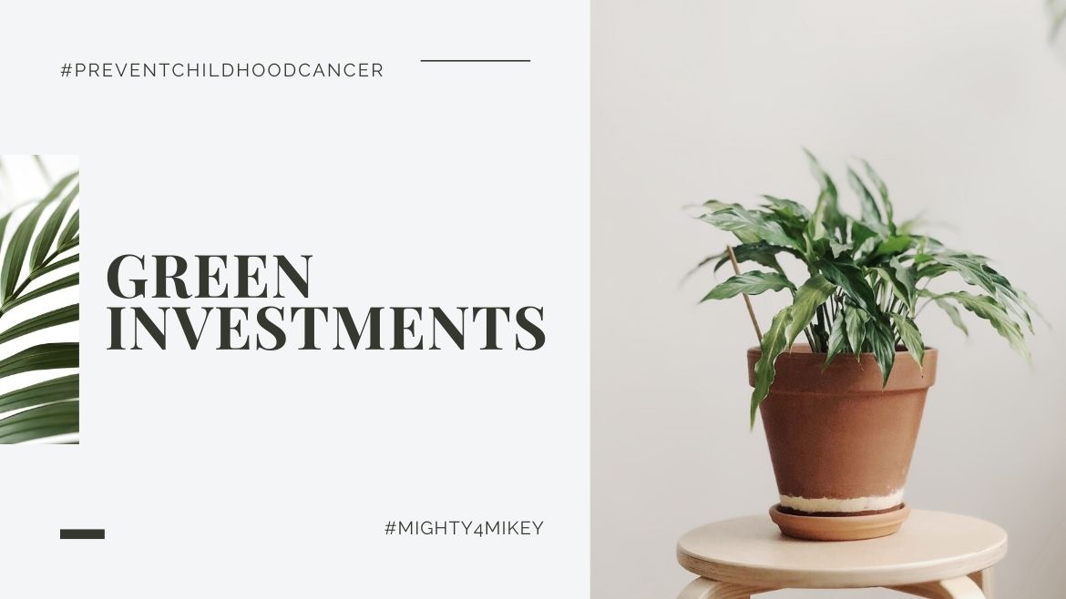 Clean Business and Green Investments - The Swifty Foundation